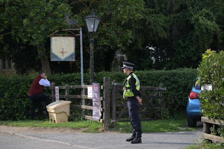 Boy, 3, fighting for life after 'stranger throws him into crocodile pit'