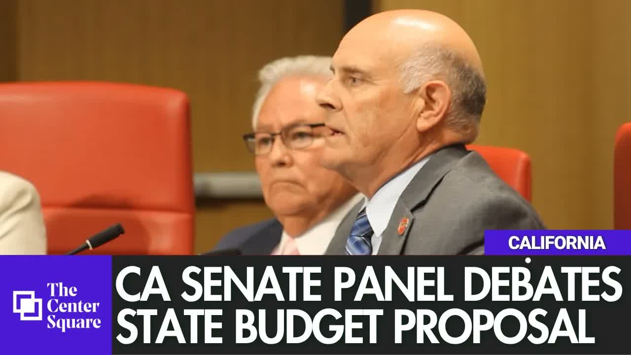 California Senate panel debates state budget proposal