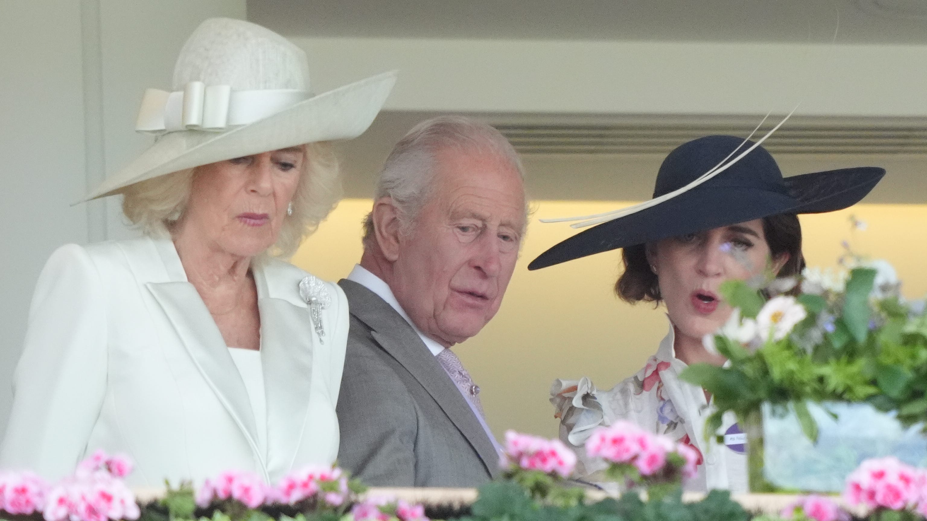 Best of British – Camilla on Ascot as she shares royal box with Stanley ...