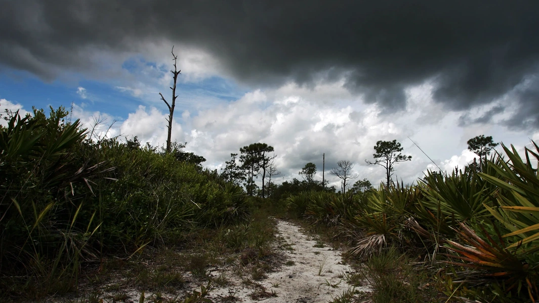 11 scenic hiking trails across Florida