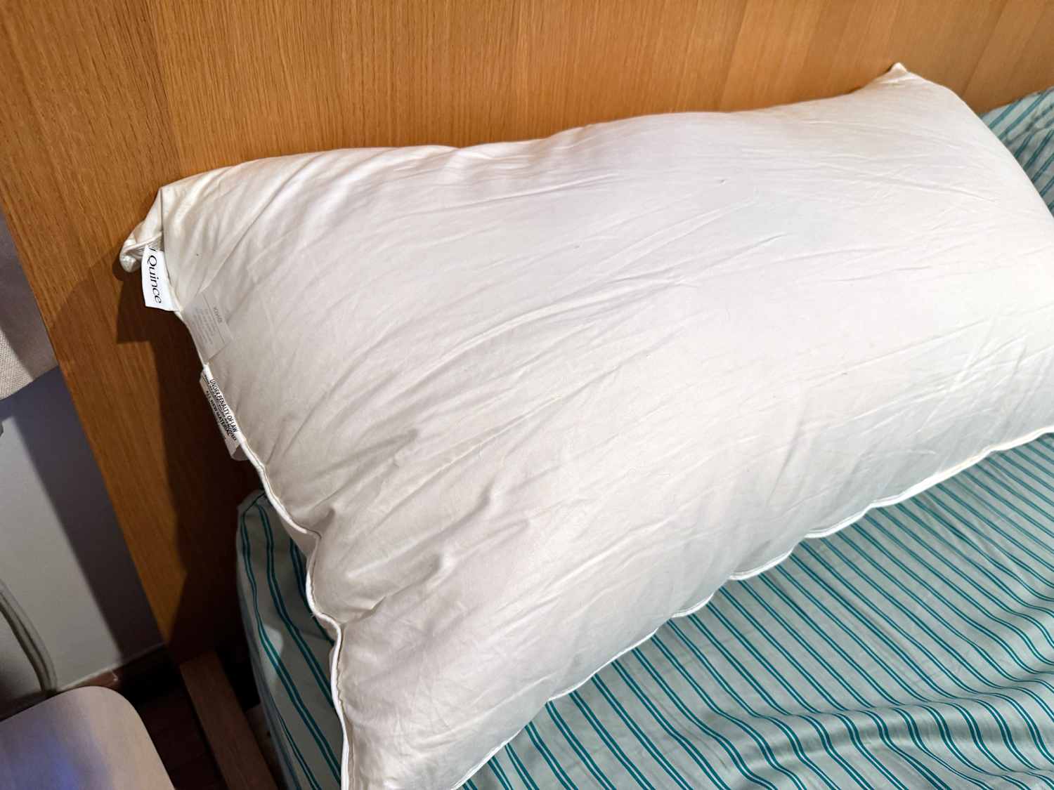 This Quince down pillow gave me 5-star hotel sleep on a motel budget