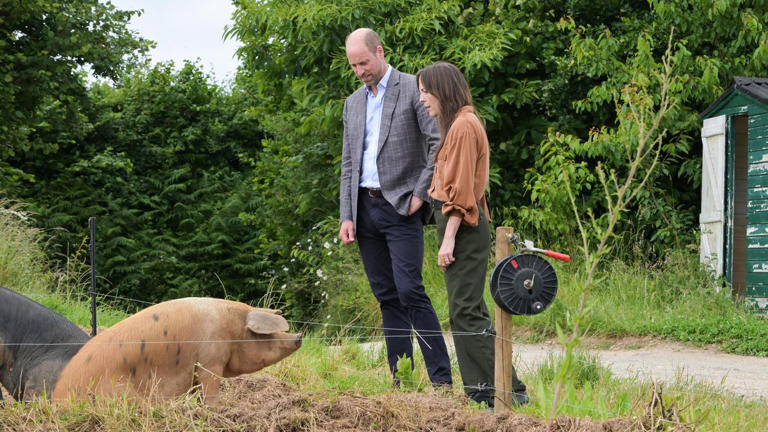 William encounters pig called Ginger Spice on farm visit in Devon