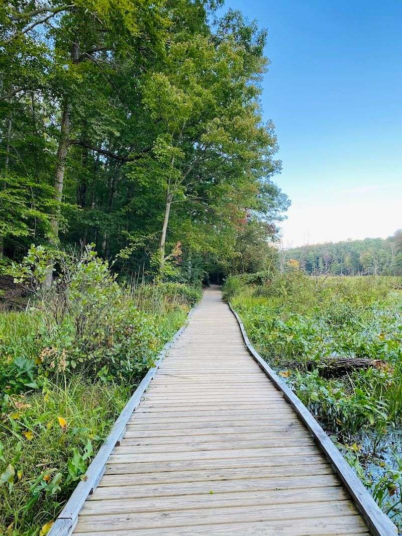 This Maryland park lets you dig for ancient fossils dating back over 8 ...