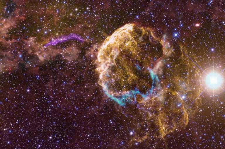 Fermi mission uncovers possible sibling supernova remnants