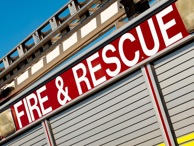 Watch: Missing dog rescued from 20-foot hole at construction site in ...