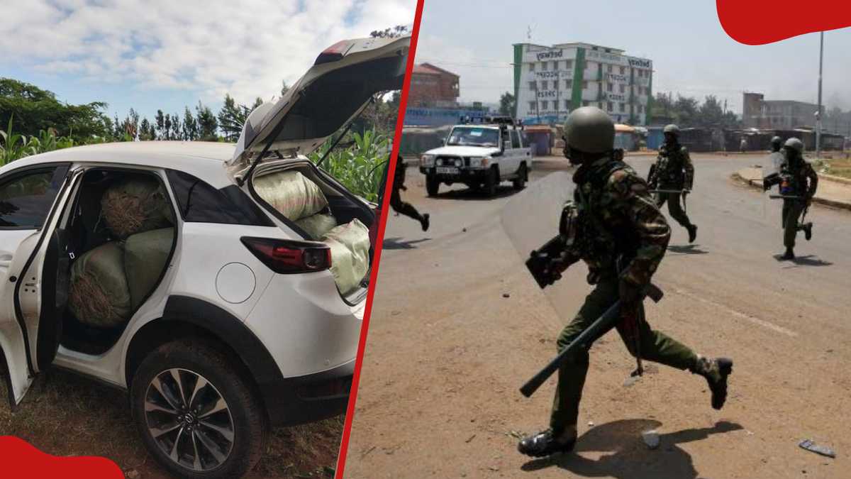 DCI details how detectives seized KSh 4.6m bhang, arrested traffickers ...