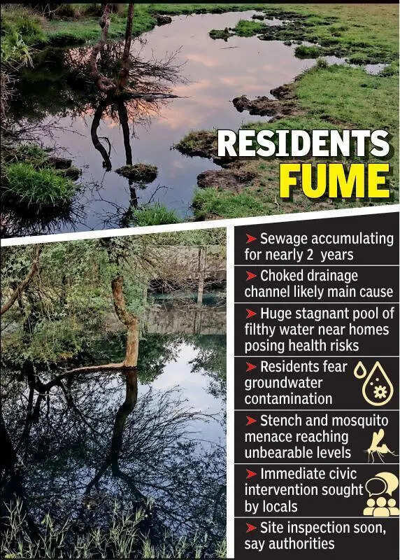 Illnesses & despair float in Godhni sewage swamp