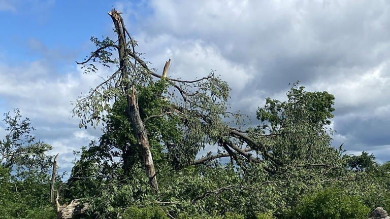 Preliminary EF-2 tornado confirmed in Allamakee County Wednesday