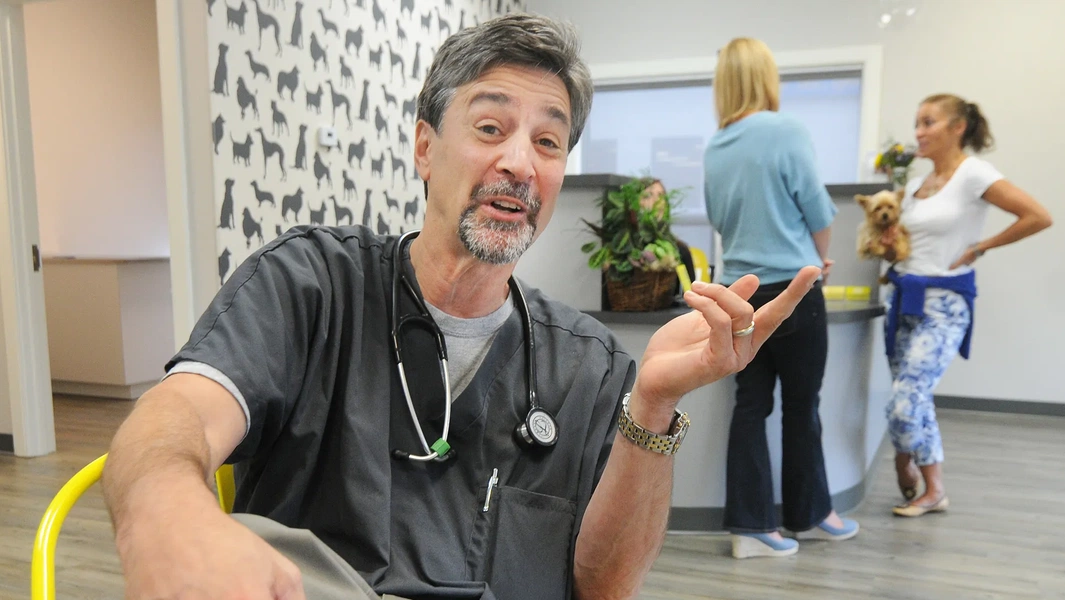 9 unusual questions veterinarians have heard