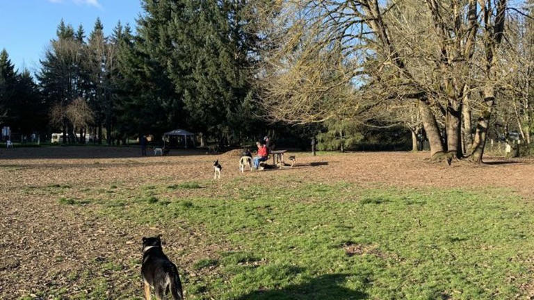 Armitage Park day-use area, boat ramp to close June 24 for parking lot ...