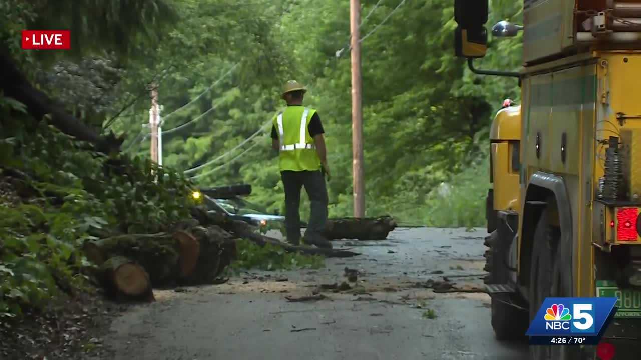 Watch: Tree falls across road in Northfield