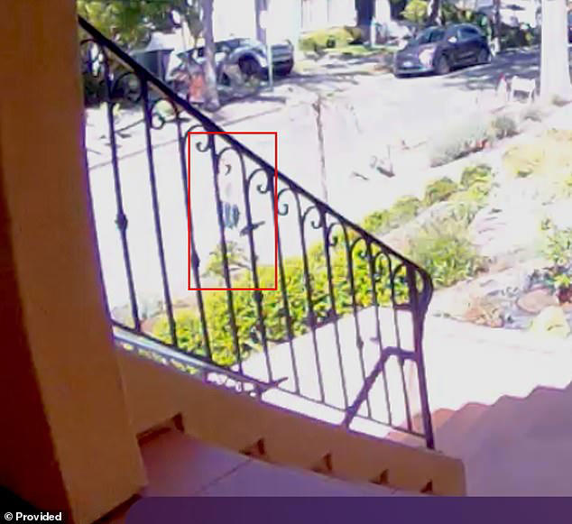 Report: Final footage of Bay Area coffee shop owner who vanished