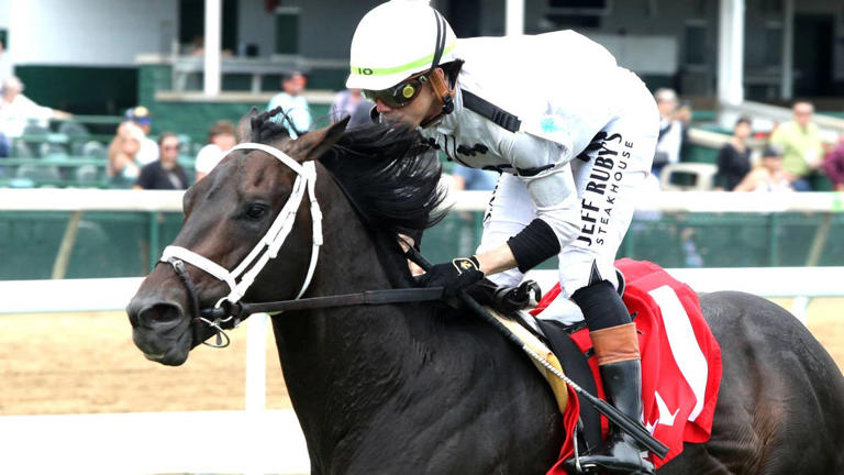 Royal Guard sets turf course record in maiden score at Churchill