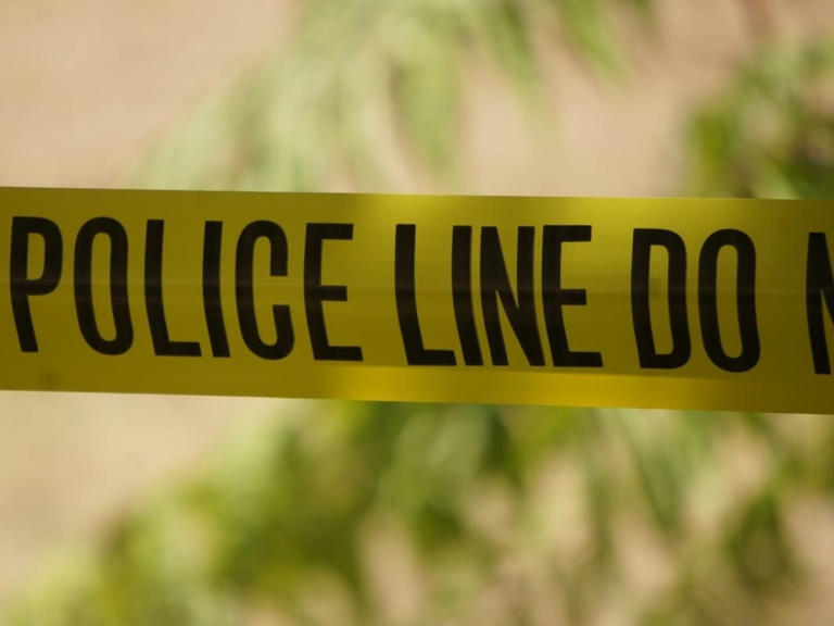 Lake Forest man charged with hit-and-run that killed 63-year-old