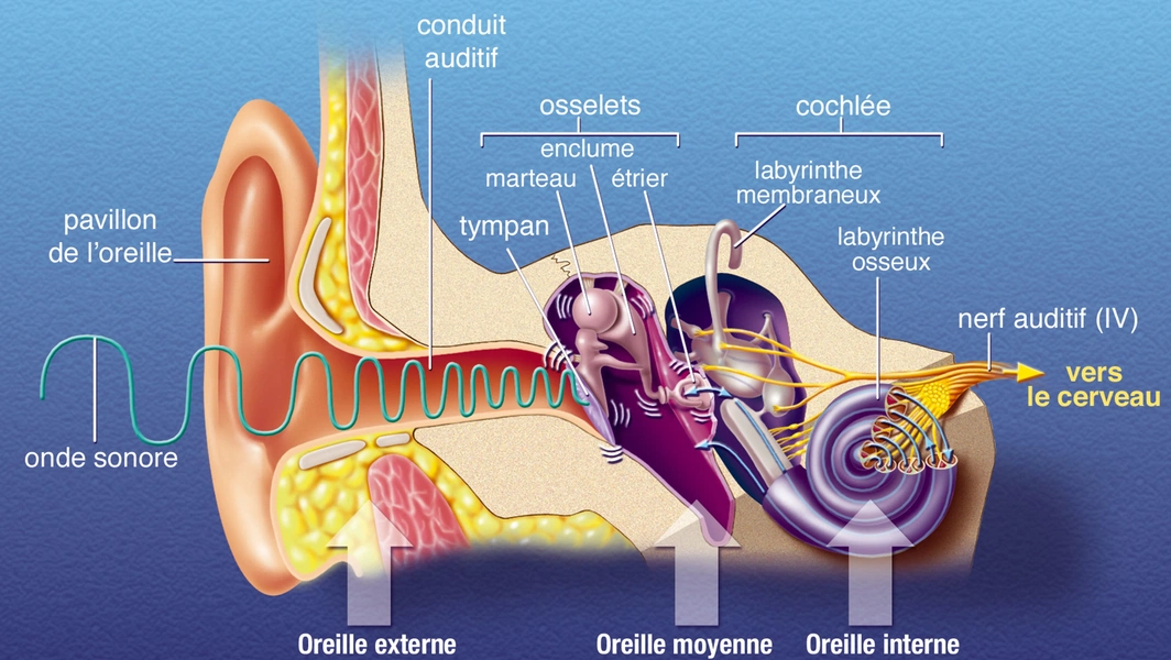 Safe practices for ear cleaning and care
