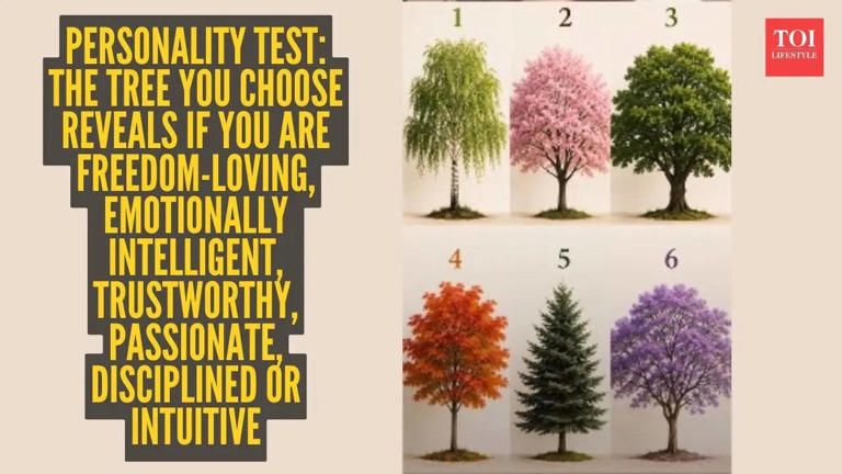 Personality test: The tree you choose reveals if you are freedom-loving ...