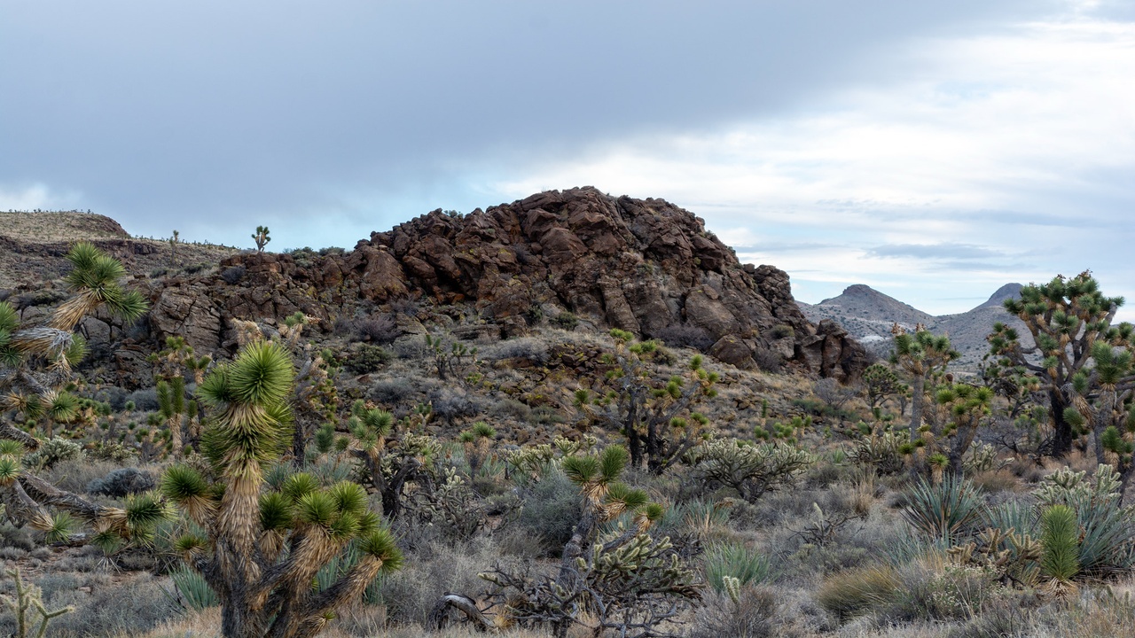 No roads, no trails, no cell service: This Mojave monument wants to be ...