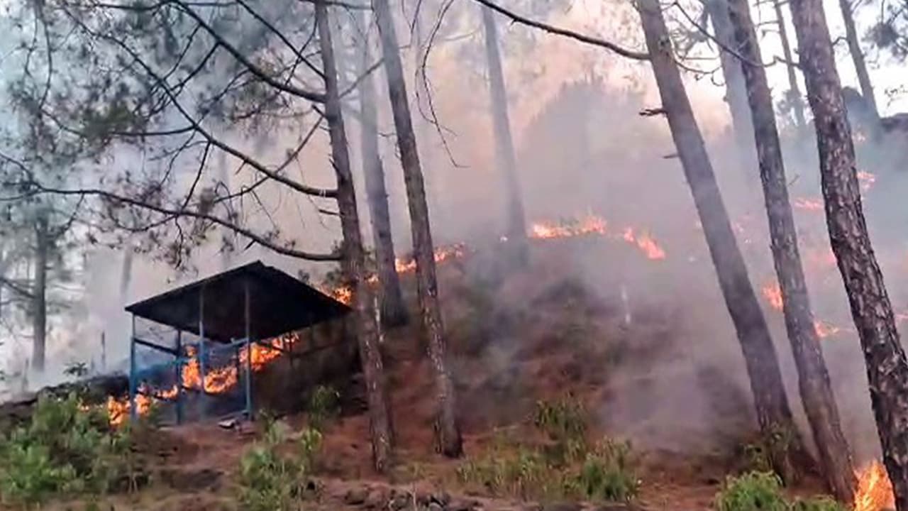 J&K: Massive forest fire breaks out in multiple locations in Rajouri