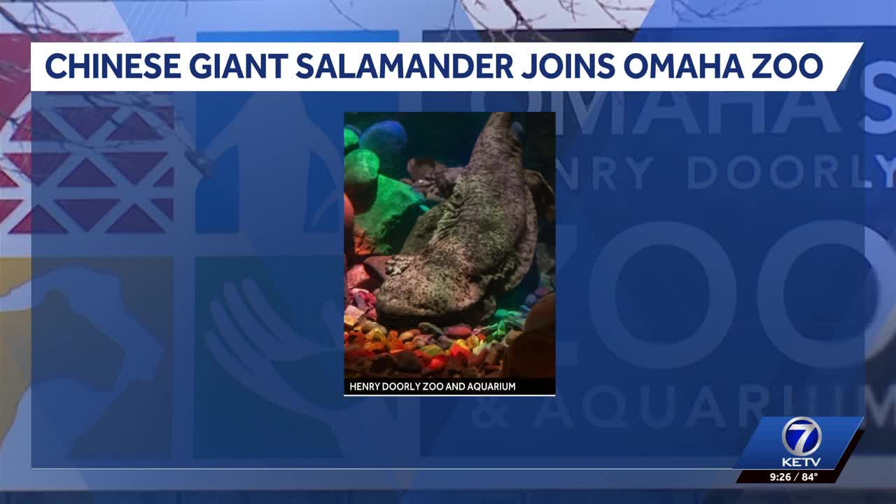 Omaha's Henry Doorly Zoo celebrates new addition