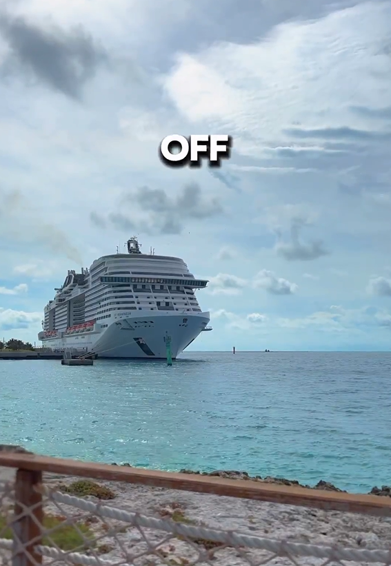 Major incident on the world’s largest cruise ship: what really happened