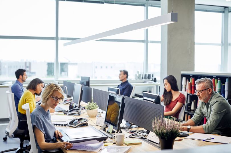 One in five UK businesses using AI say they are hiring more staff, new ...