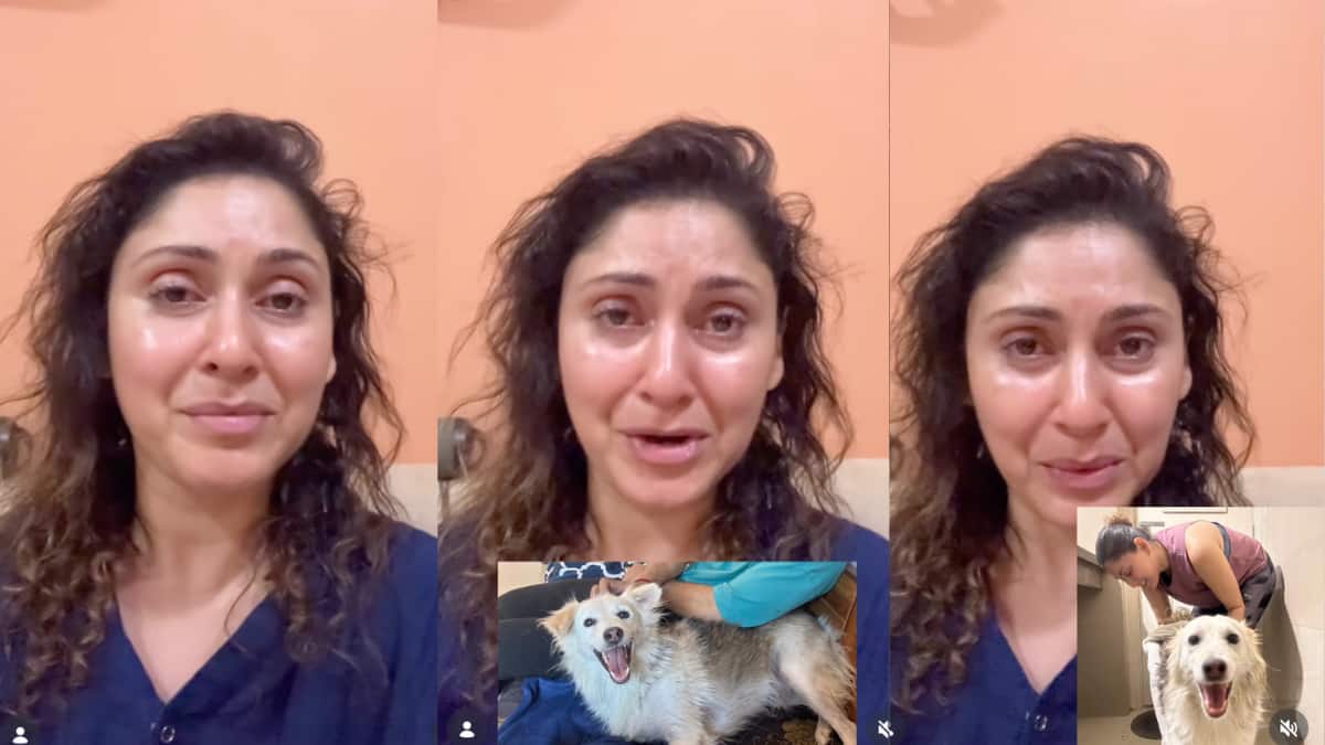 Manjari Fadnnis says dog was beaten half to death, blames SC for ...