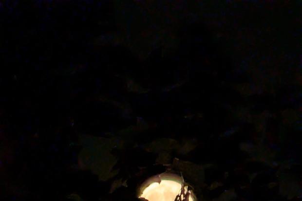 Amber moonlight transforms night sky in striking Sussex images