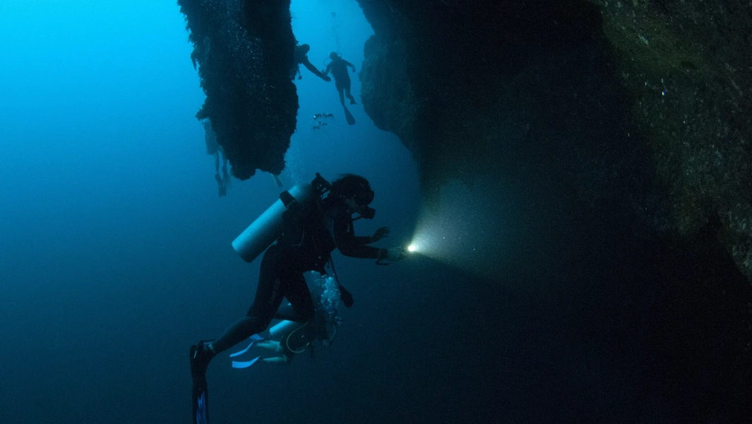 Divers find thriving marine life in remote blue hole
