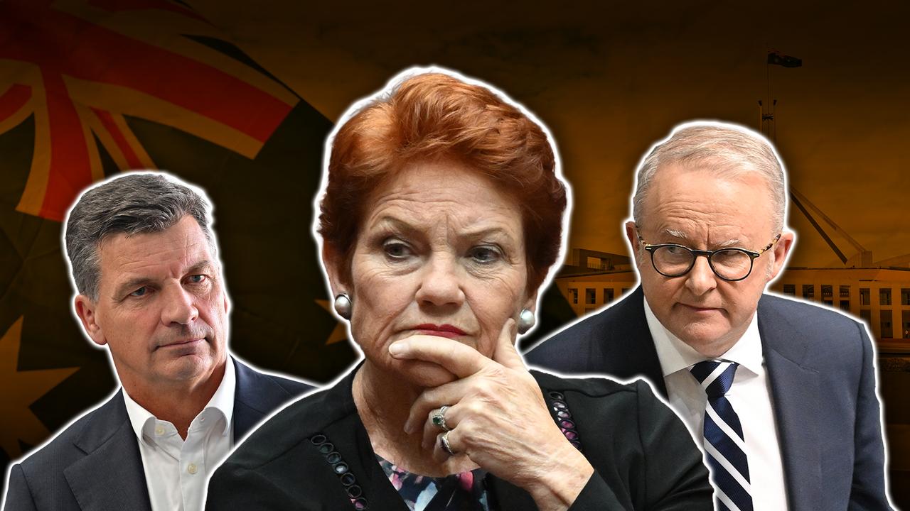 Just a mimic of One Nation: coalition cops Labor serve