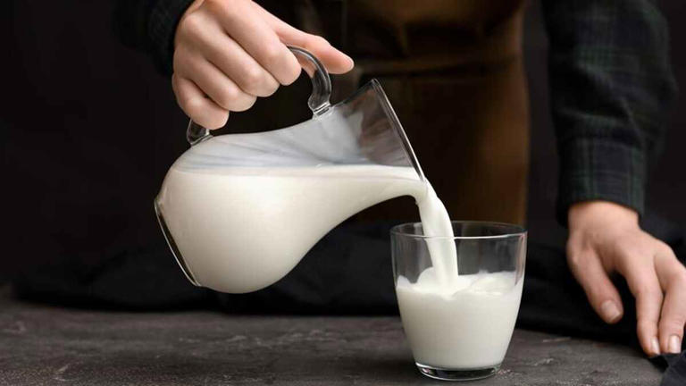 Milk vs egg: Which is the better source of protein? A dietitian explains