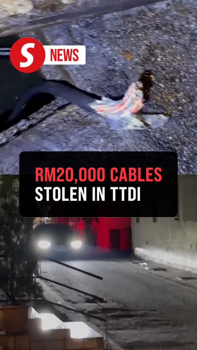 Viral video of cable thieves loading loot into luxury car triggers ...