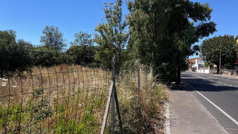 Oristano, tra aree curate e spazi incolti: le criticità del verde ...