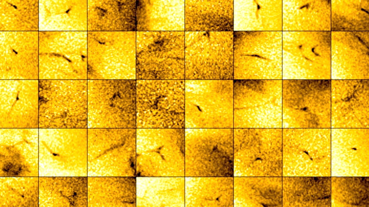 Sun’s tiniest picoflares caught by human eyes for the first time