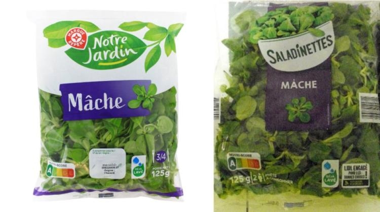 Salmonelles : Leclerc et Lidl rappellent de la salade en sachet contaminée