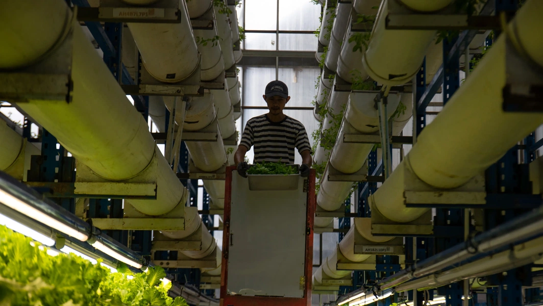 Small spaces, big green dreams with vertical gardens