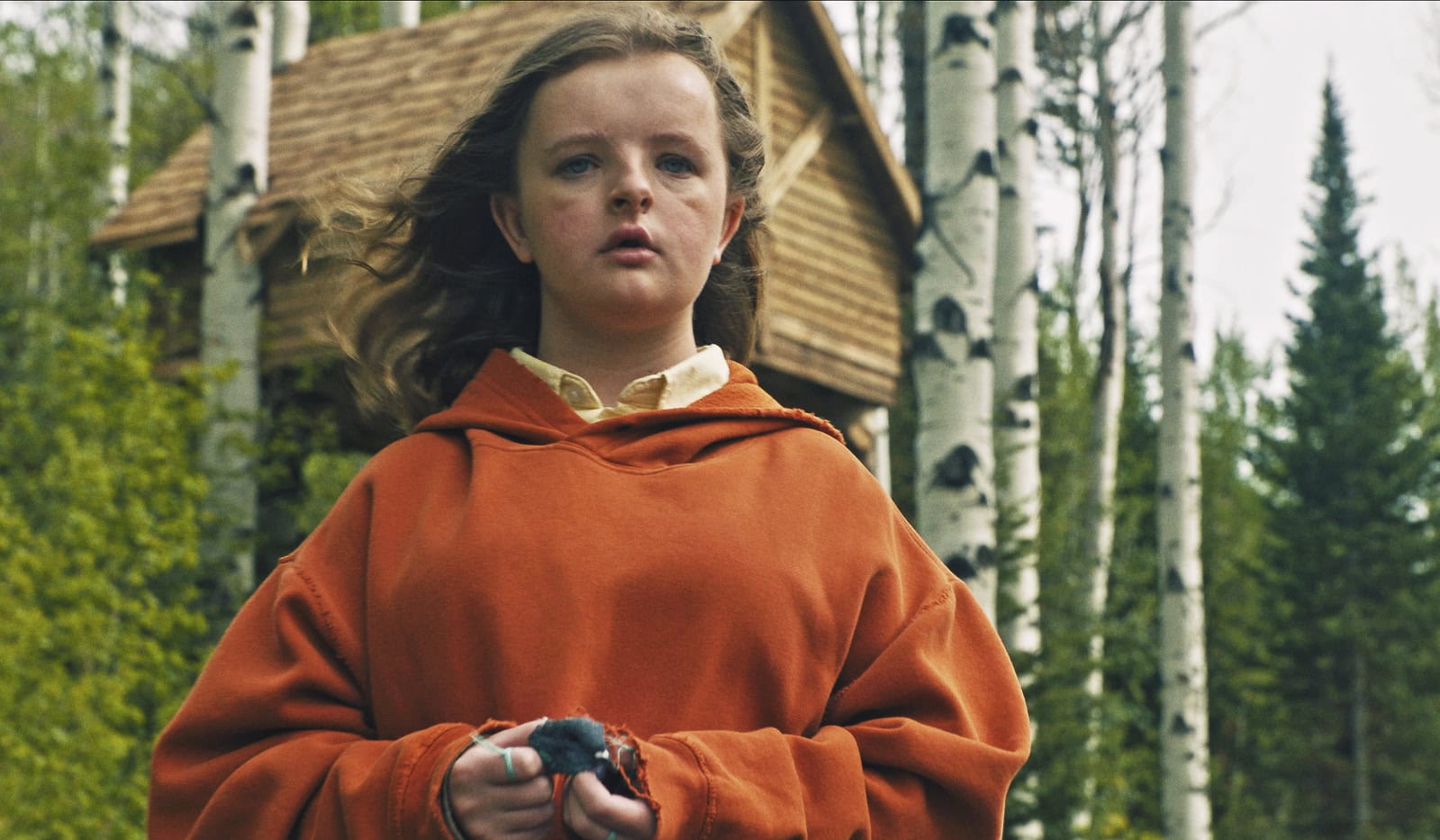Ari Aster: ”Hereditary-elokuvalle kirjoitettiin esiosa, jota ei koskaan ...