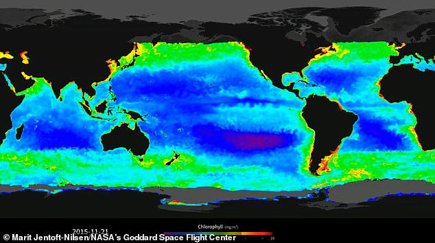 The ominous pattern leading up to a super El Niño, revealed by NASA ...