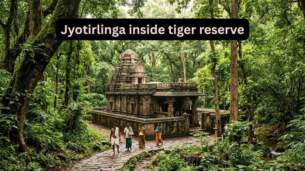 This is the only Jyotirlinga temple located inside India’s largest ...