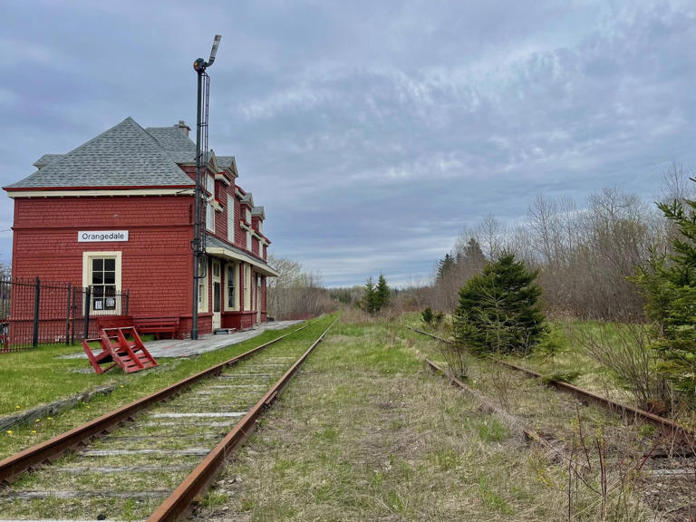 Cape Breton business leaders dream of reviving dormant rail line. Can ...