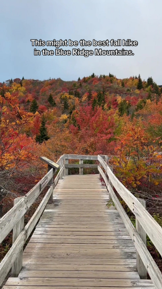 The best fall hike in the Blue Ridge Mountains