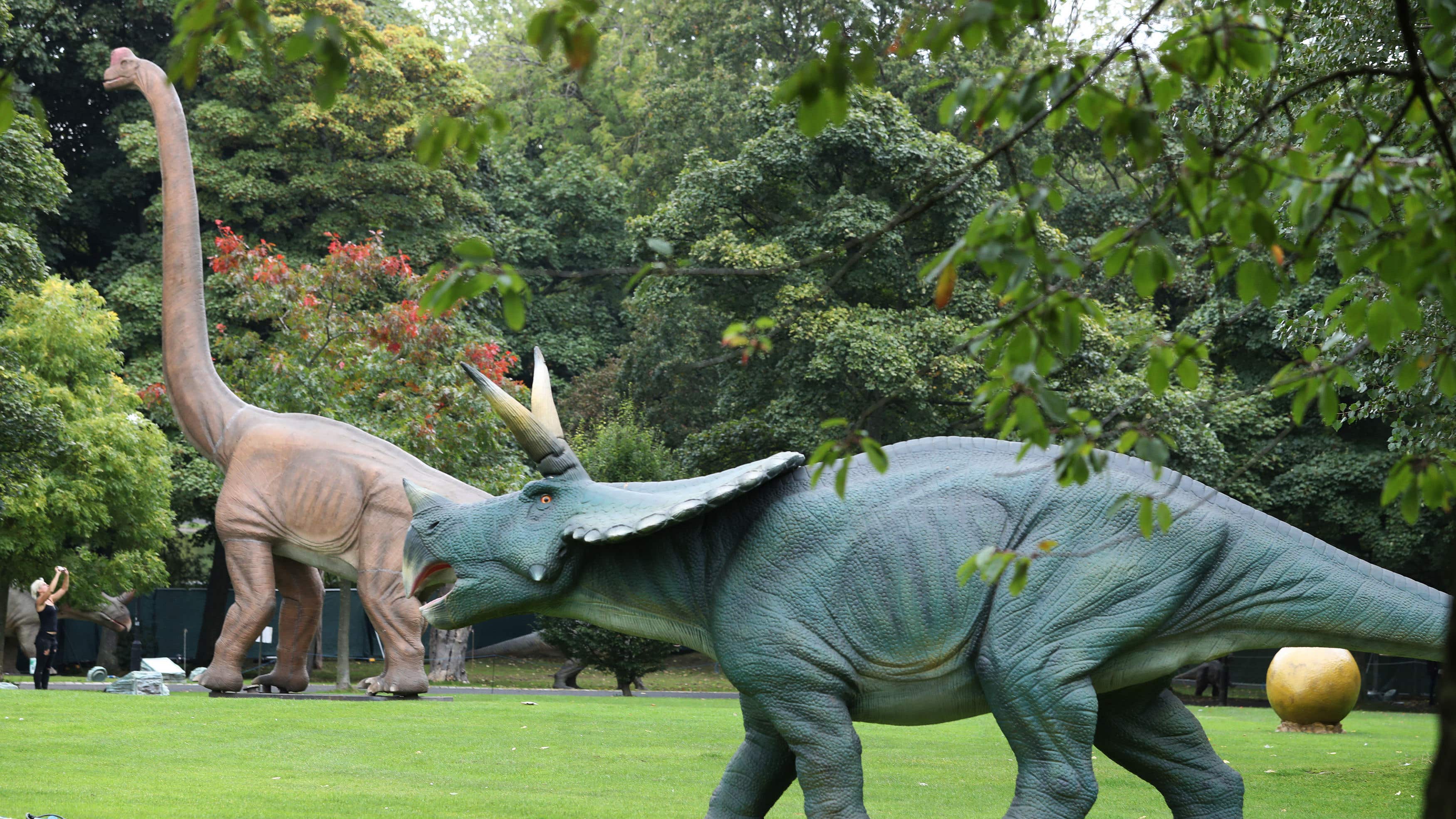 Meteorite that killed dinosaurs also created life-supporting ...