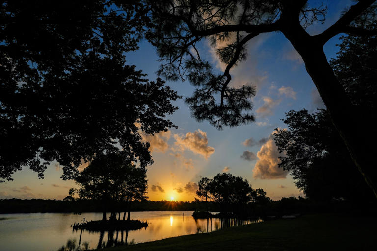 Florida landowner hopes sunset doesn't fall on personal bird preserve