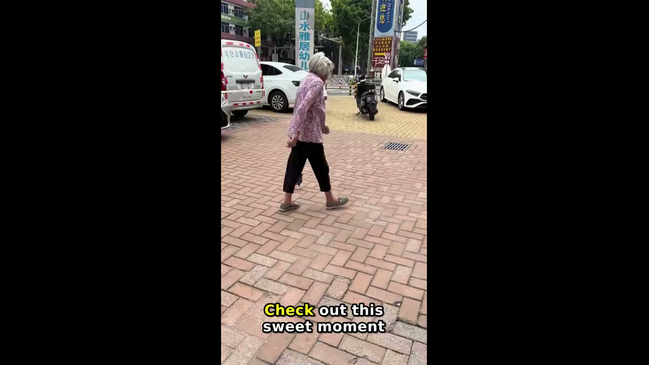 Bird shadows 91-year-old woman on walk in China