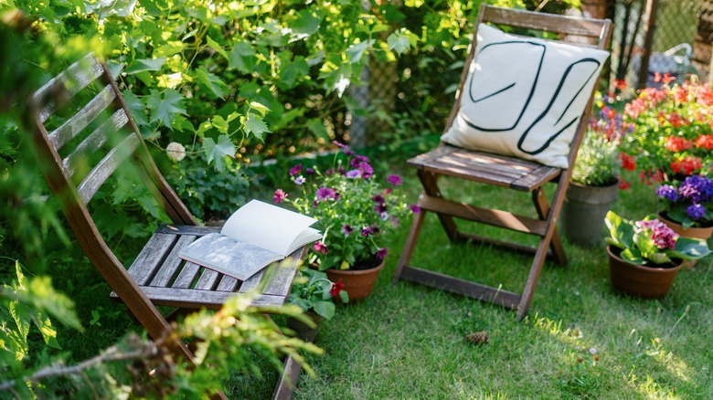 21 shade plants that attract hummingbirds and pollinators to your yard