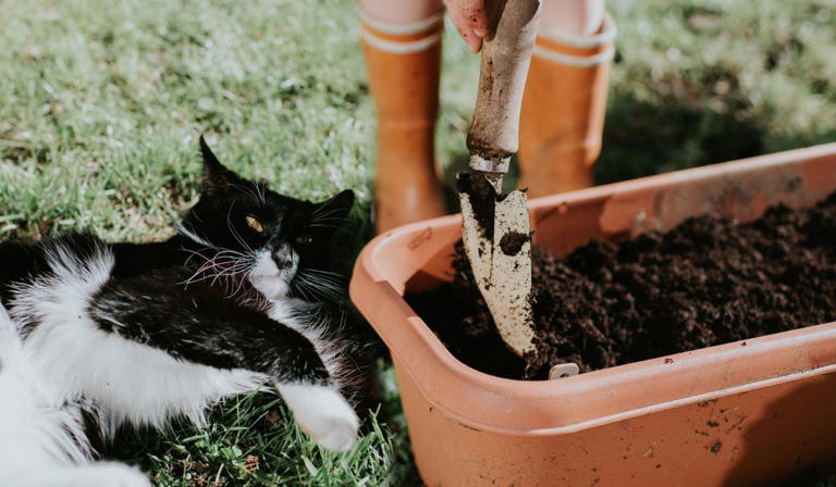 25 fun and affordable activities to put on your family’s summer bucket list