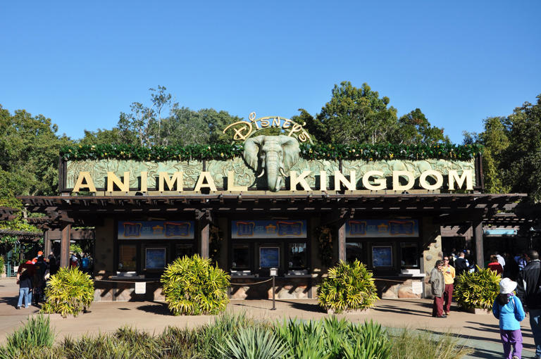 Disney’s Animal Kingdom welcomes back a legend after a rare ...