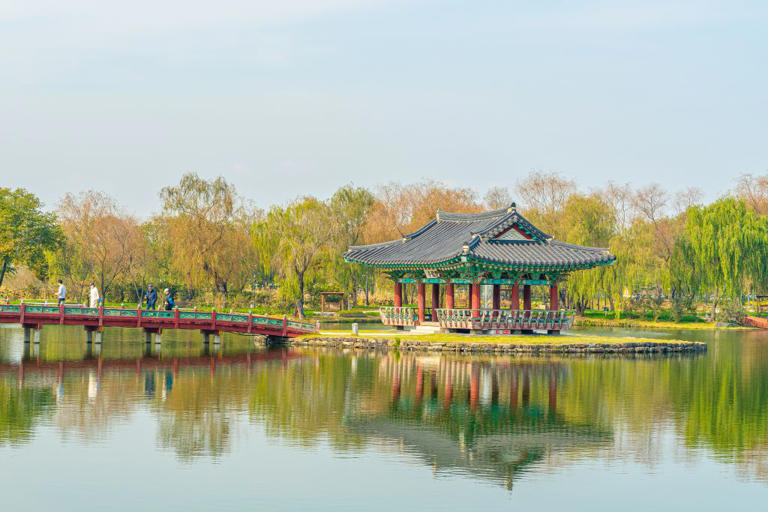 Cycling along the Geumgang River: A scenic one-day bike route from ...