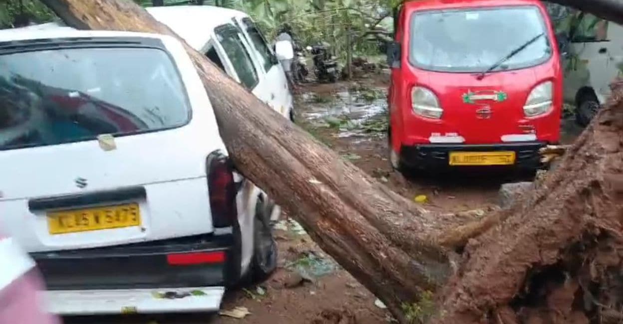 Heavy rains lash Thrissur; uprooted trees fall on school building, vehicles