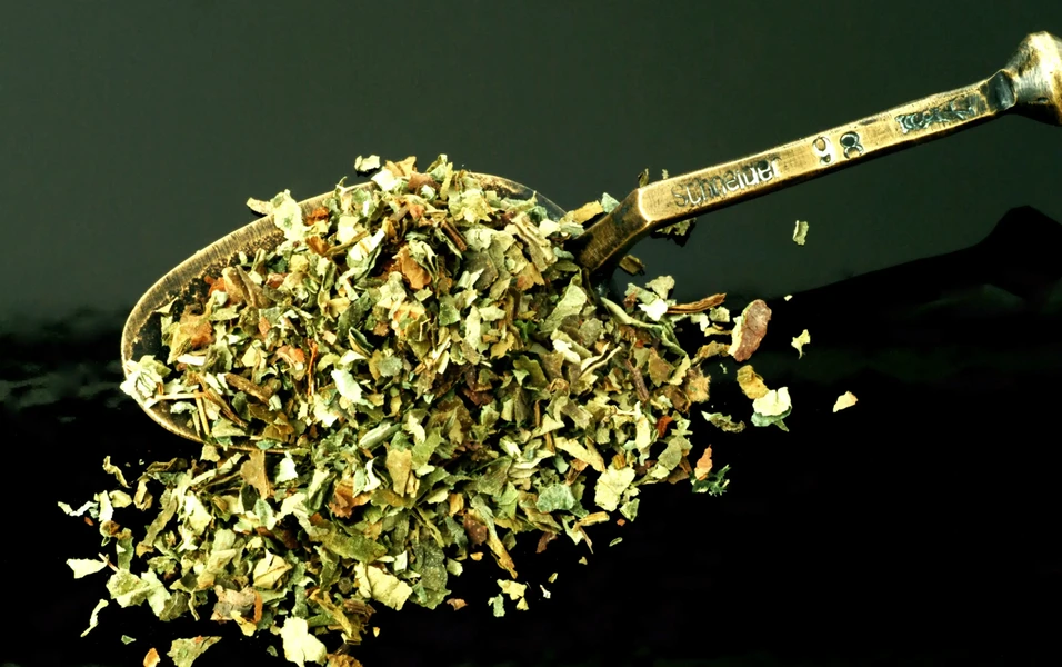 Medicinal plants power eco-friendly nanoparticles to detect toxic metals