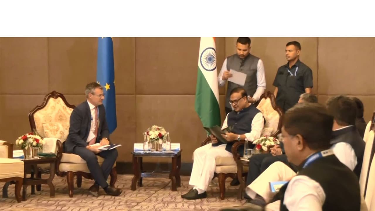 Assam CM meets EU delegation to boost trade, investment in Northeast